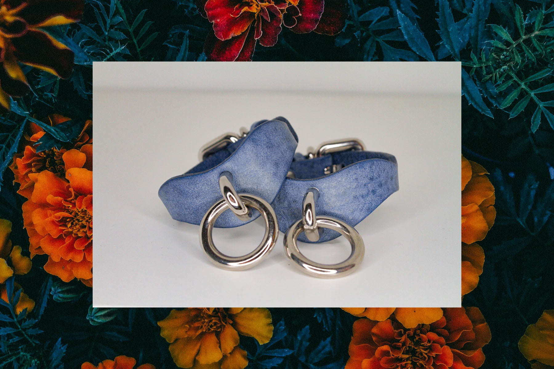 SHOP BDSM COLLARS AND CUFFS | NEON COYOTES