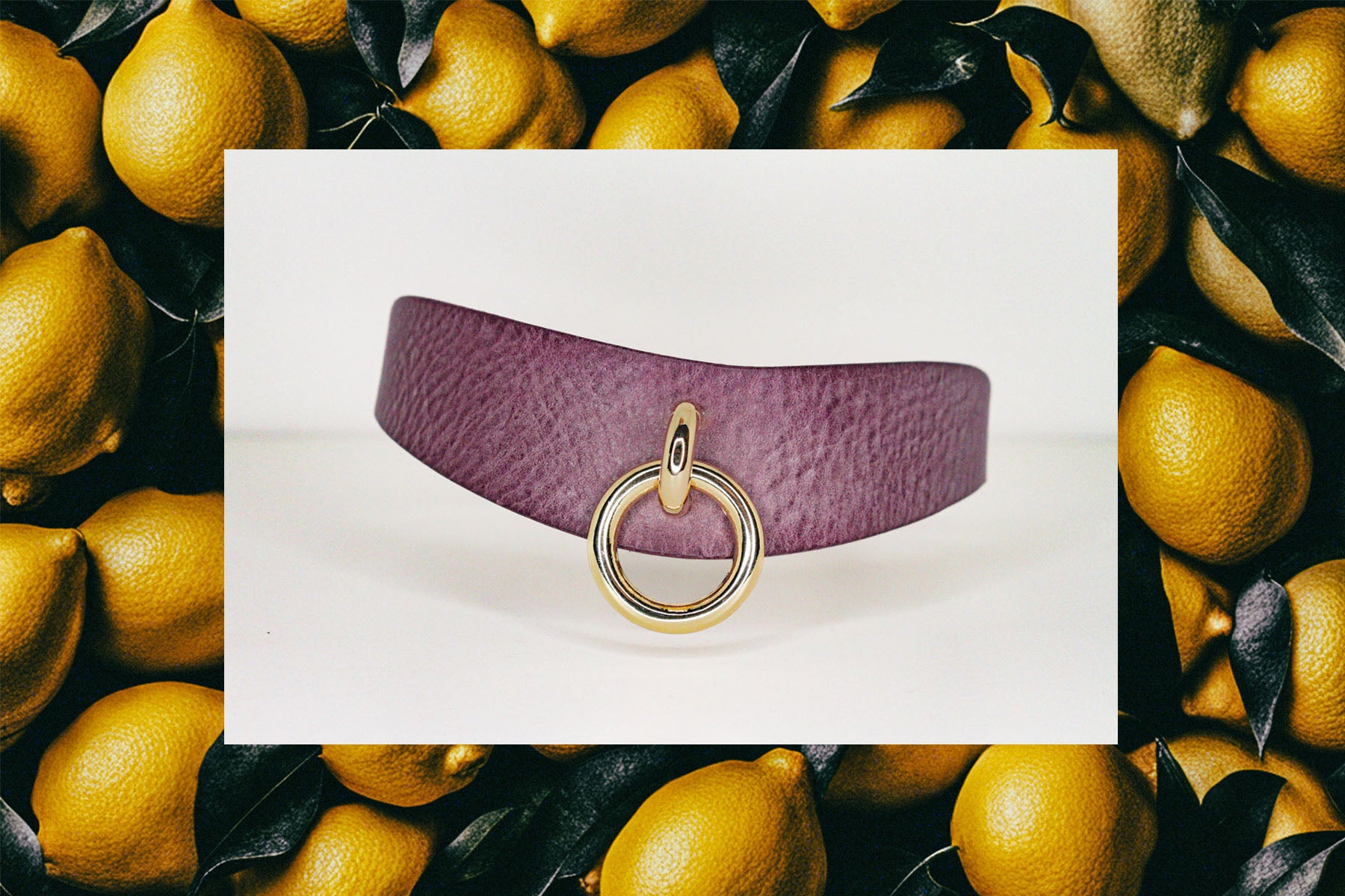 SHOP BDSM COLLARS AND CUFFS | NEON COYOTES